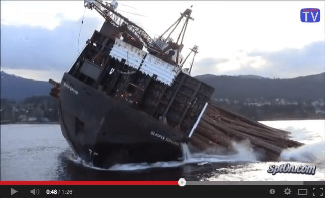 The Easy Way to Offload Timber from a Ship [VIDEO]