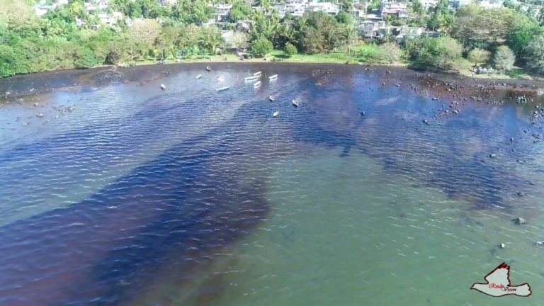 Wakashio Grounding: Photos Show Environmental Disaster Unfolding in ...