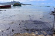 Wakashio Grounding: Photos Show Environmental Disaster Unfolding in ...