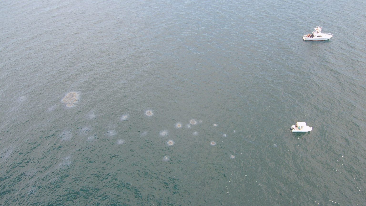Coast Guard Monitoring Oil Discharges from Sunken Liberty