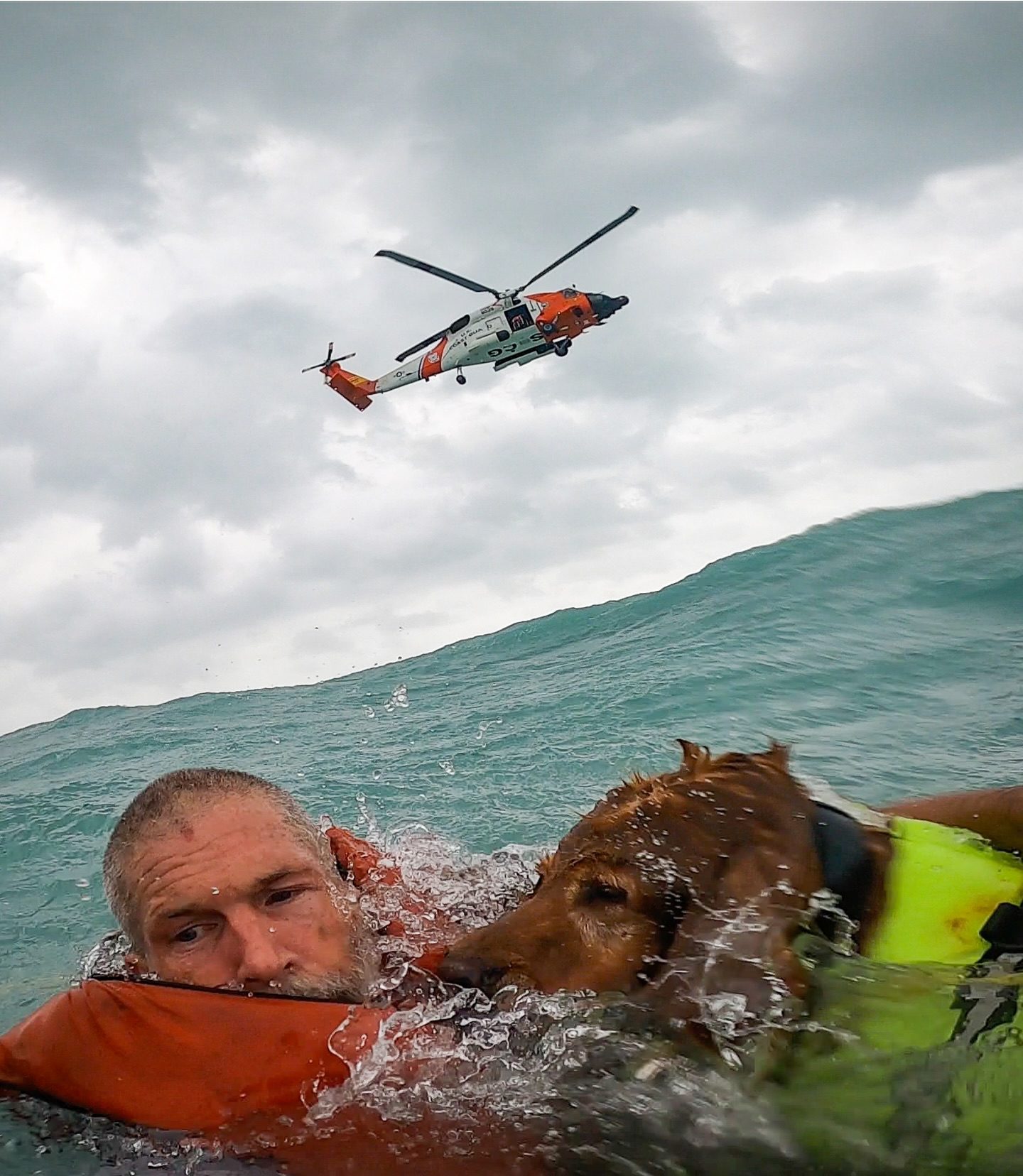 Heroic Rescue: U.S. Coast Guard Saves Man and Dog from Hurricane ...