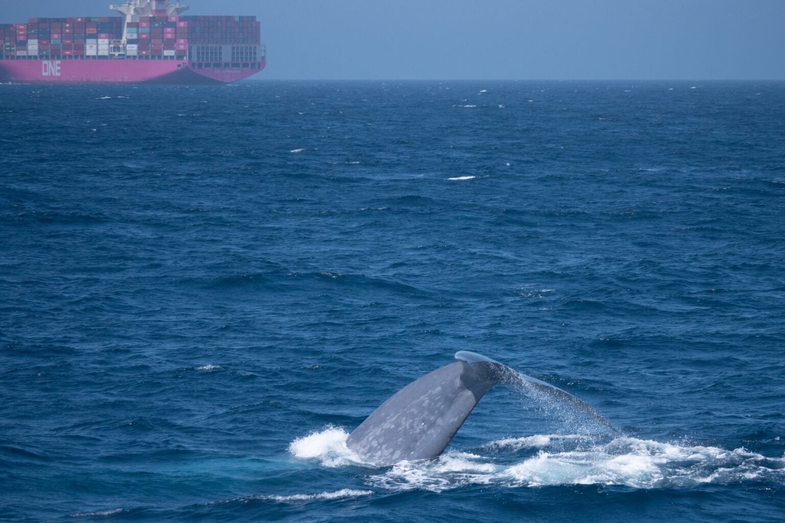 What is a Vessel Response Plan and What to Do in The Event of a Spill