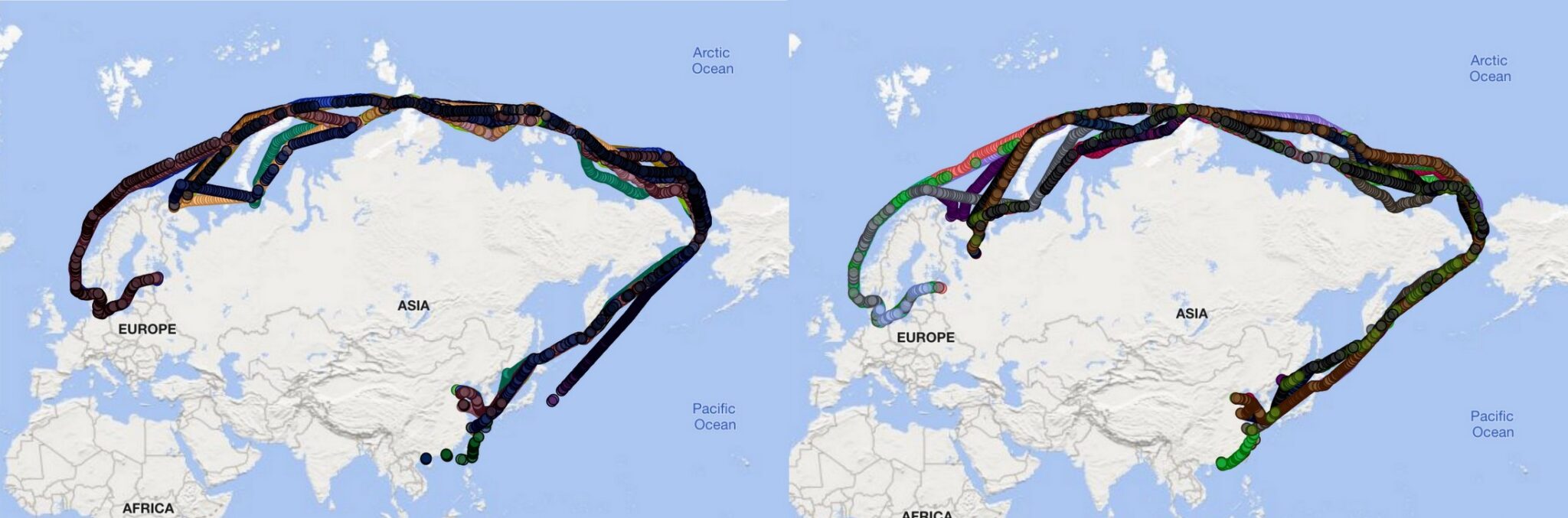 Arctic Shipping Boom Continues as China and Russia Push Cargo Volume To ...