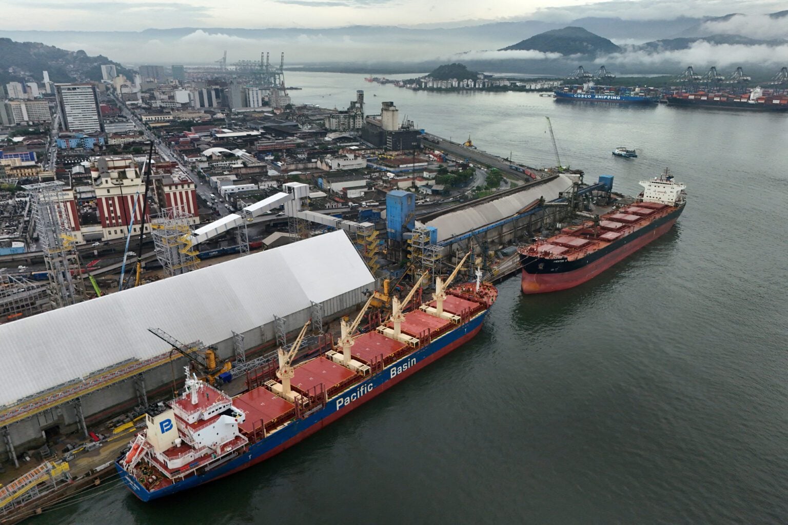 China's Soybean Imports From US Jump In March, But Brazil Set To ...