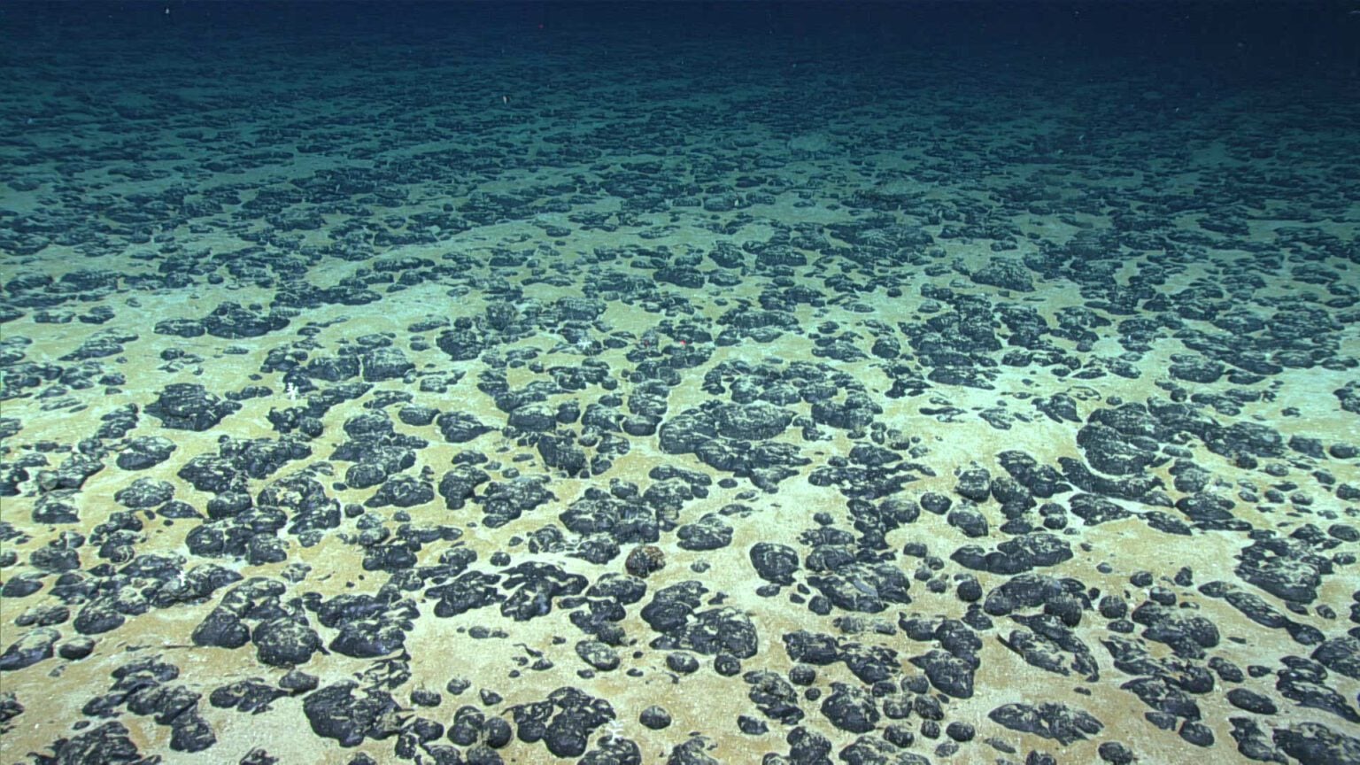 NOAA Advances Deep Sea Minerals Application in Latest U.S. Seabed ...